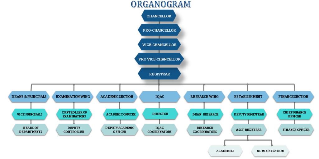 Organogram – MAHER