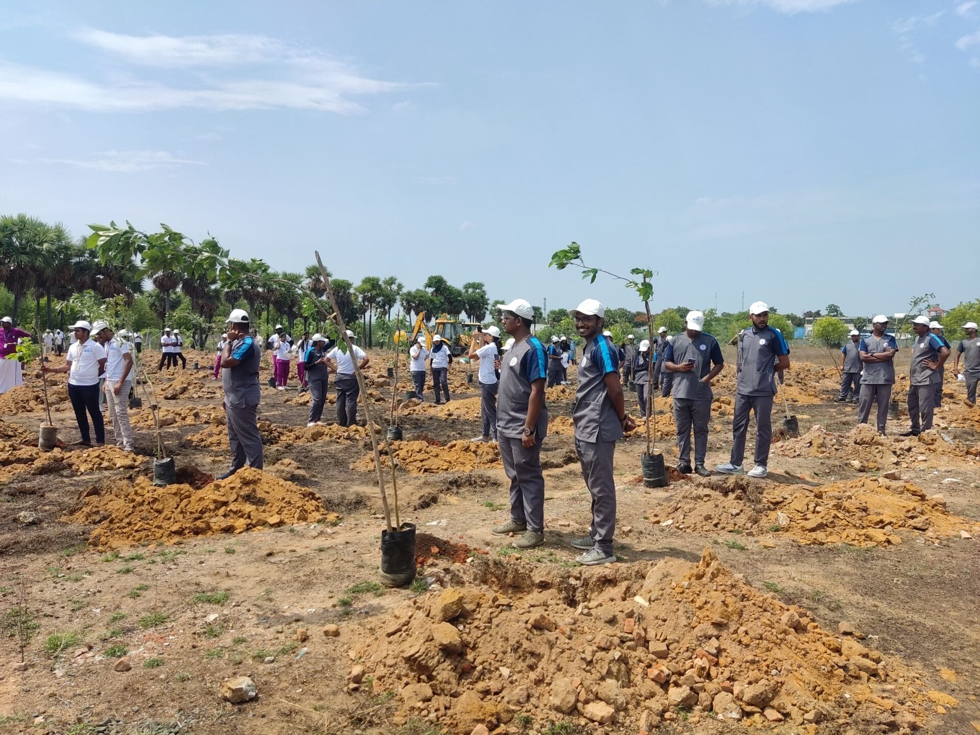 World Environment Day – Planting tree saplings – MAHER