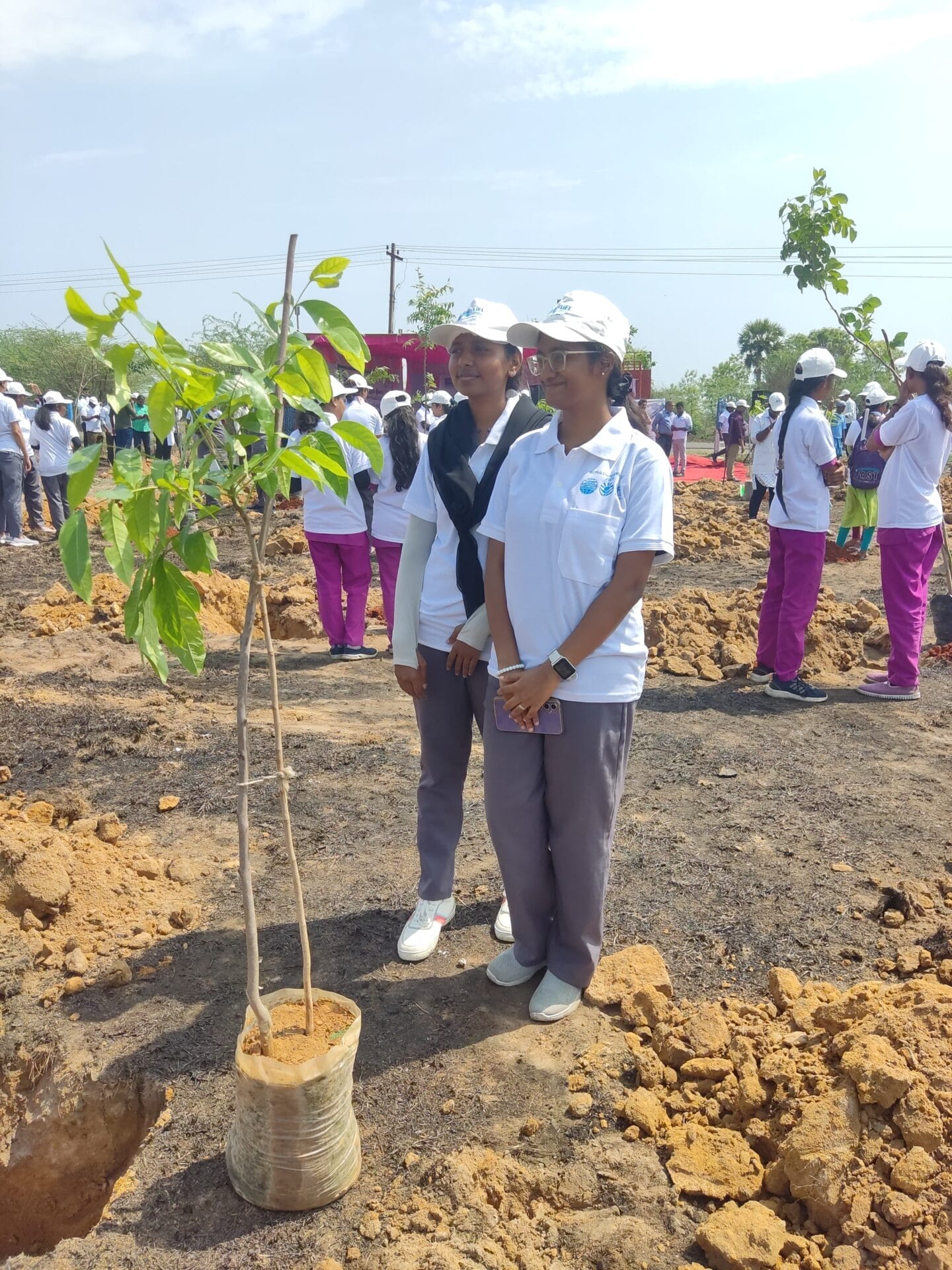 World Environment Day – Planting tree saplings – MAHER