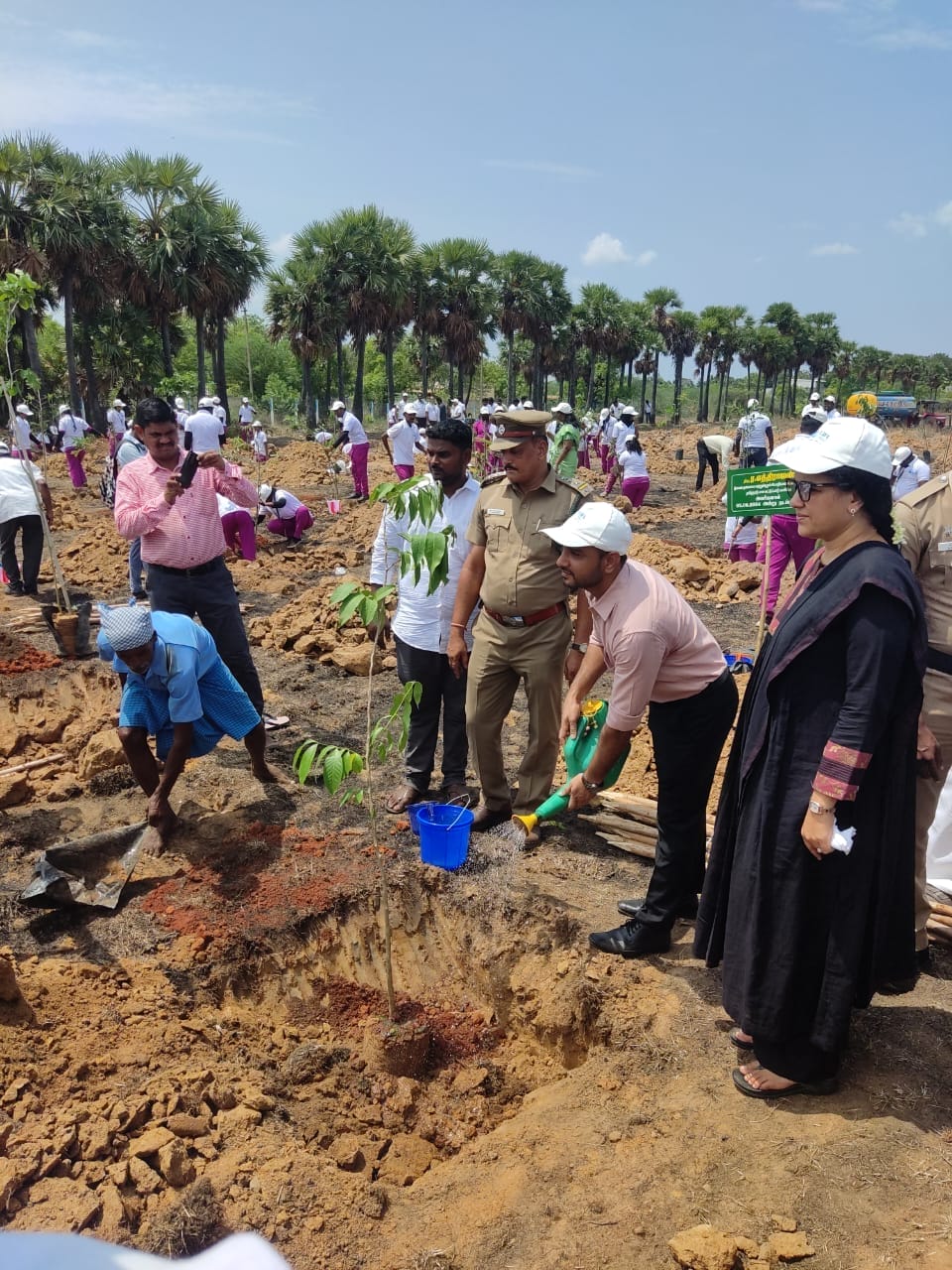 World Environment Day – Planting tree saplings – MAHER